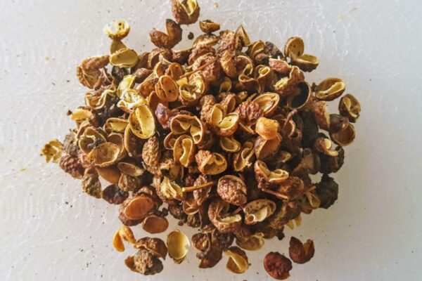 Sichuan Pepper (Zanthoxylum bungeanum) | VegeFuture